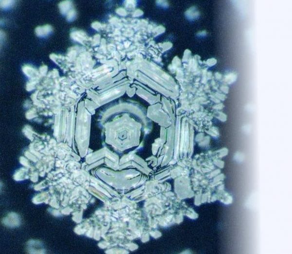 Chartres Academy: The Sacred Geometry and Living Intelligence of Water ...